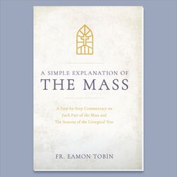 Books About the Bible and the Mass | Dynamic Catholic