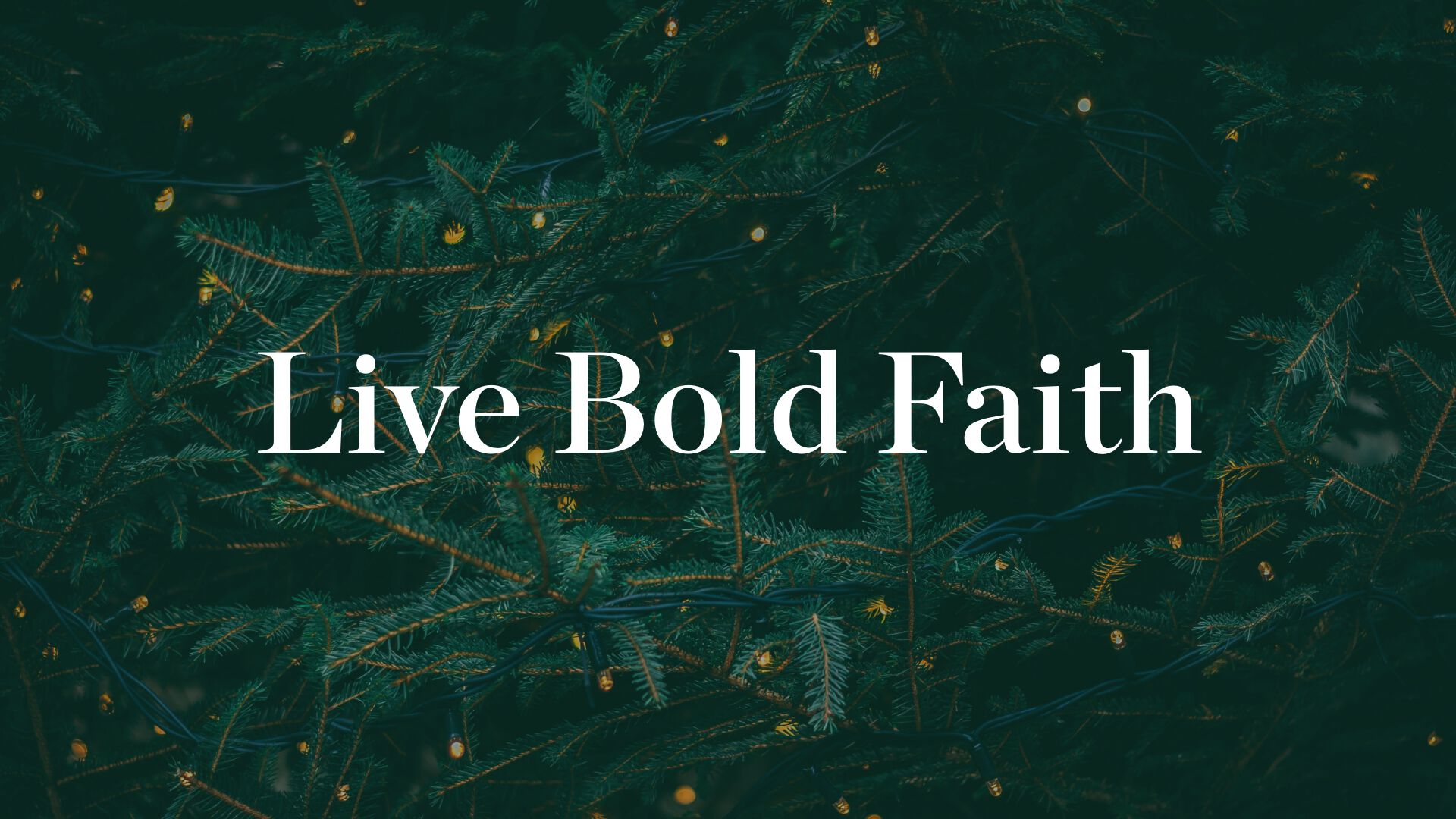 All BEST ADVENT EVER Daily Reflections 2023 | Dynamic Catholic