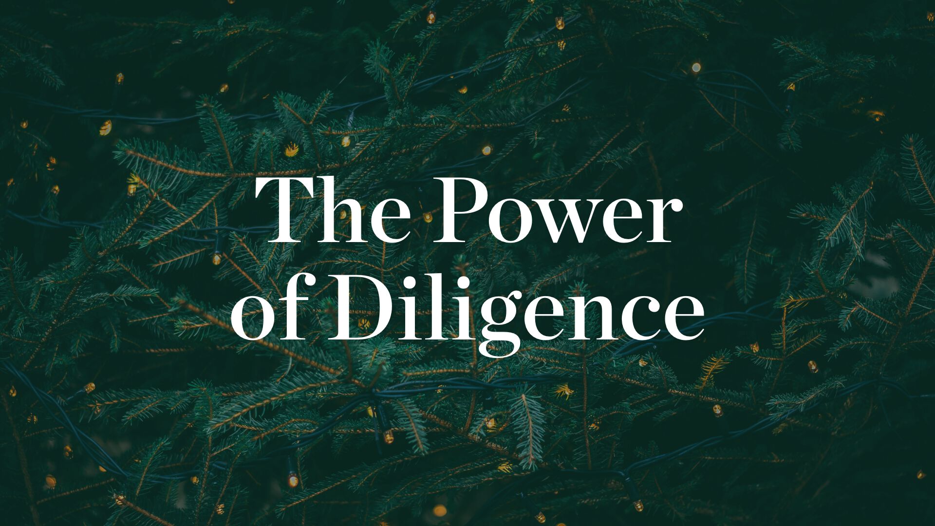 All BEST ADVENT EVER Daily Reflections 2023 | Dynamic Catholic