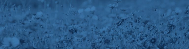 March 10, 2024 Gospel Reading and Reflection | Dynamic Catholic