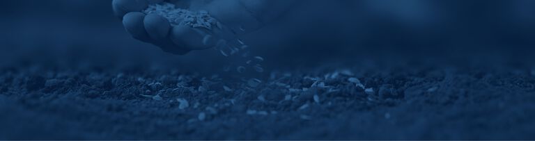 June 16, 2024 Gospel Reading and Reflection | Dynamic Catholic