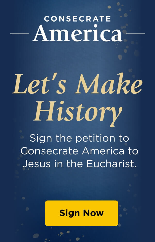 Dynamic Catholic Homepage | Be Bold. Be Catholic.