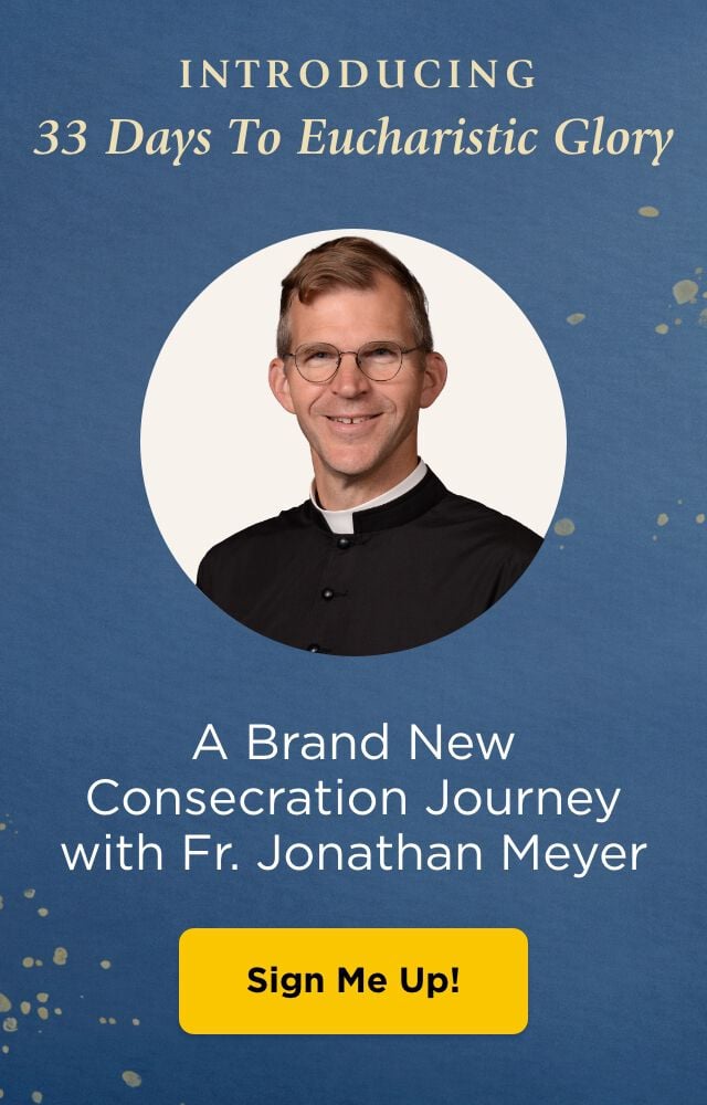 Dynamic Catholic Homepage | Be Bold. Be Catholic.