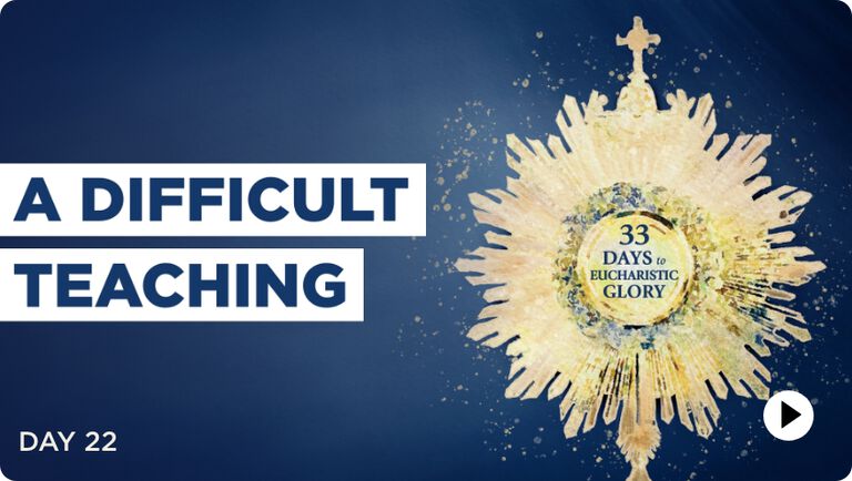 A Spiritual Pilgrimage with Matthew Kelly | Dynamic Catholic