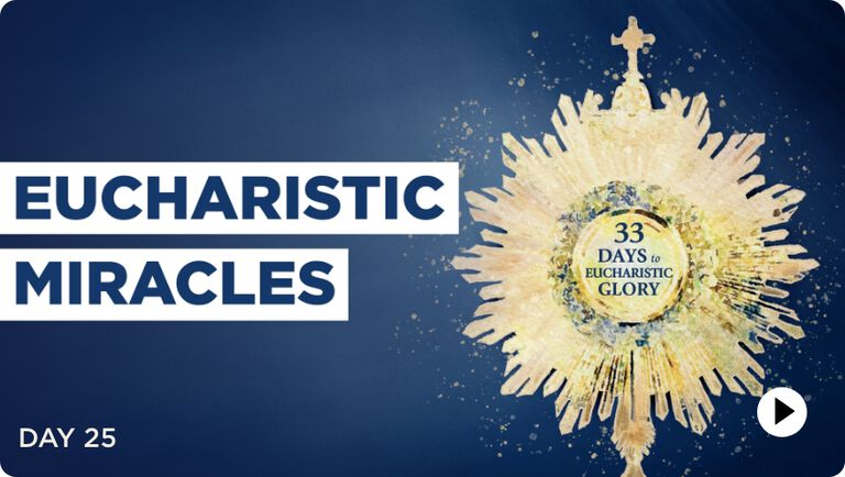 A Spiritual Pilgrimage with Matthew Kelly | Dynamic Catholic