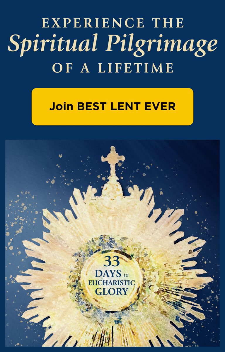 Dynamic Catholic Homepage | Be Bold. Be Catholic.