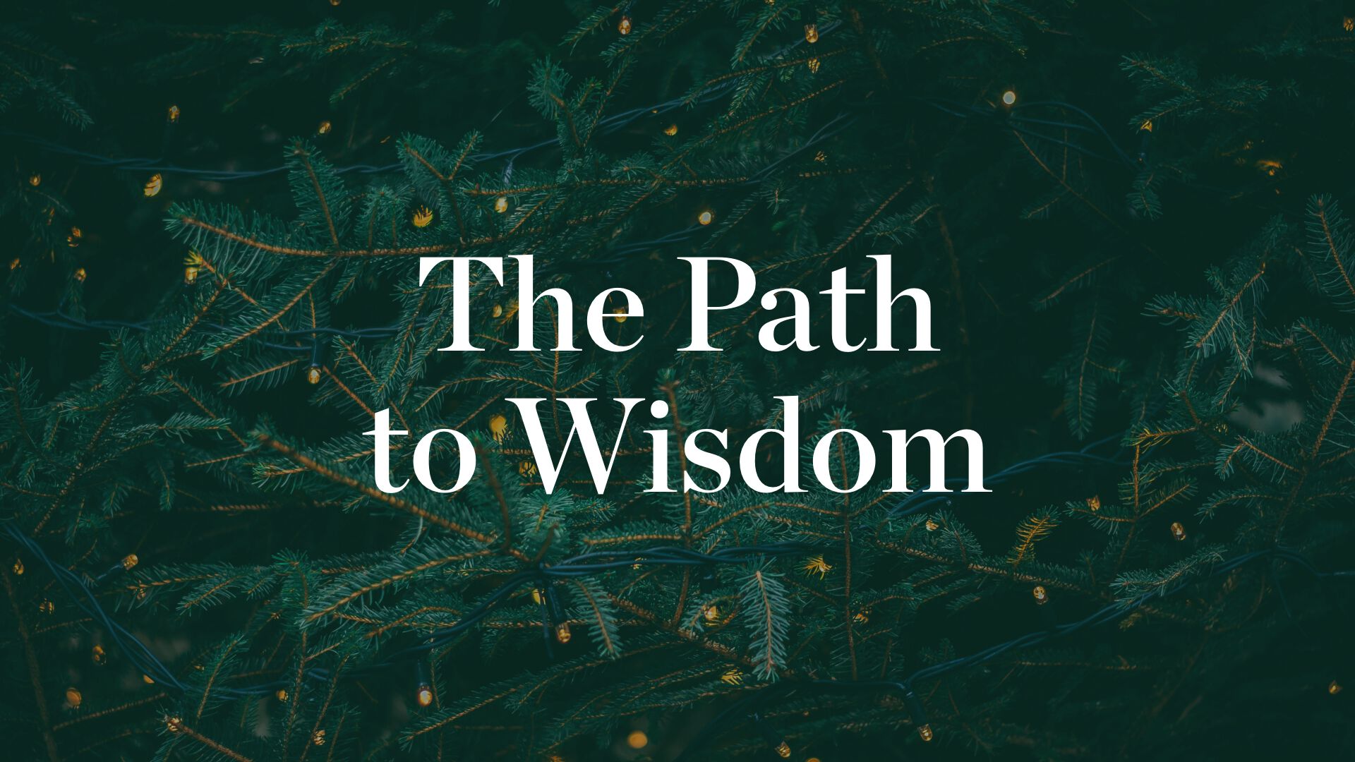 All BEST ADVENT EVER Daily Reflections 2023 | Dynamic Catholic