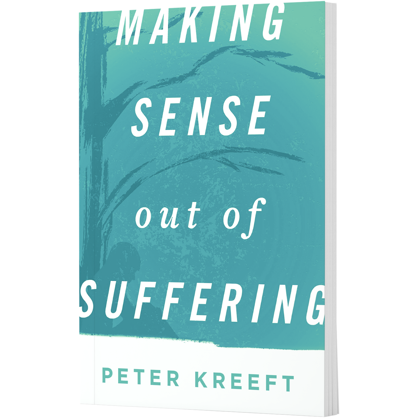 Buy Making Sense Out of Suffering | Dynamic Catholic