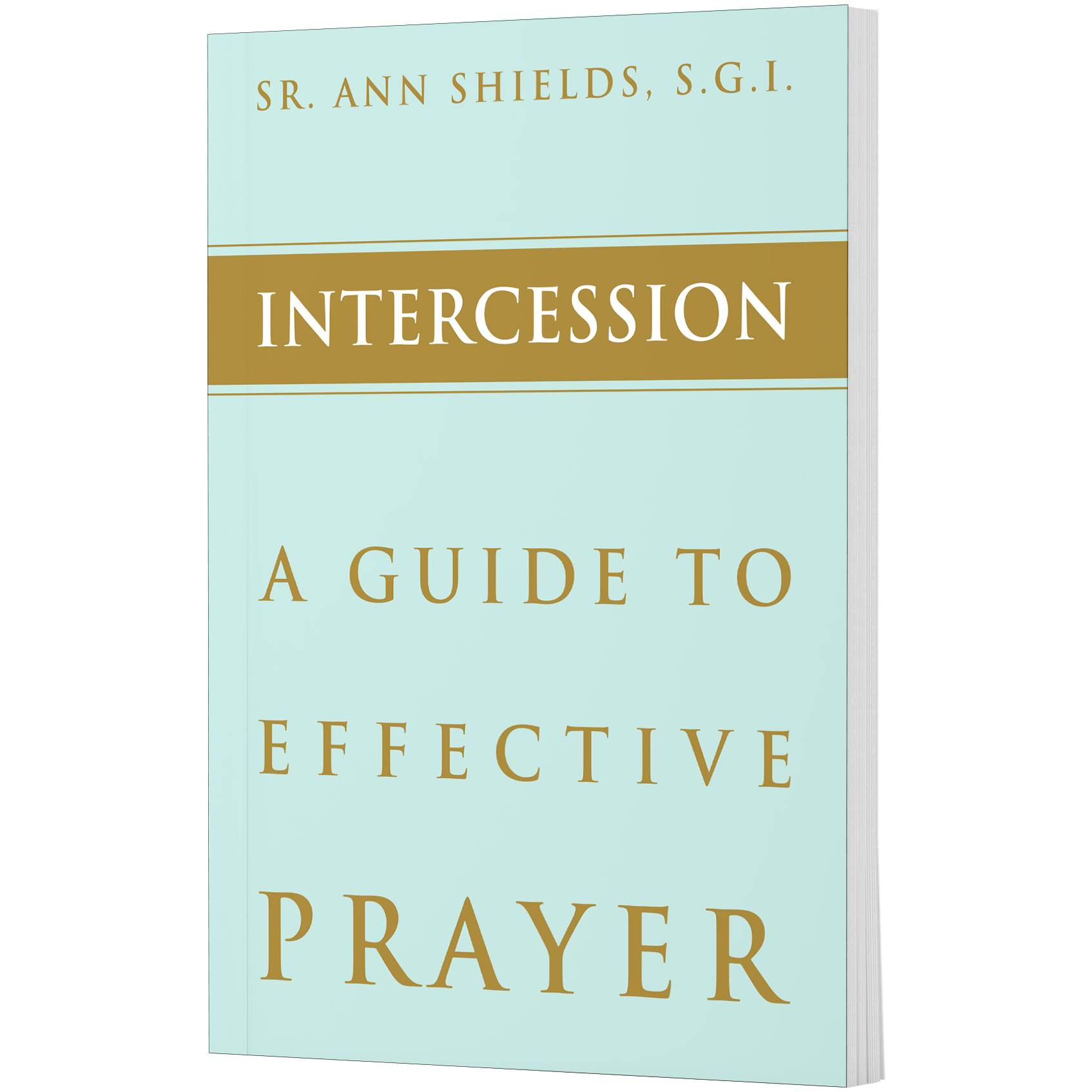 Buy Intercession | Dynamic Catholic