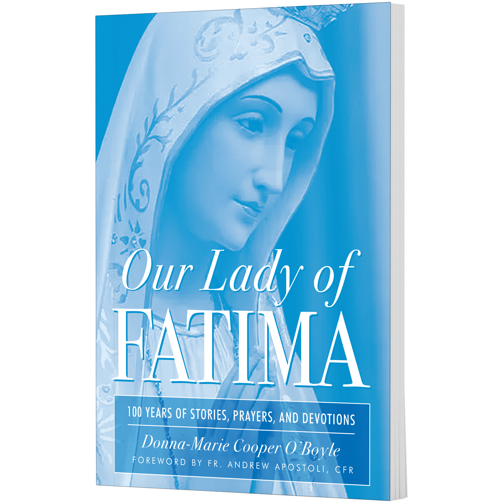 Buy Our Lady of Fatima | Dynamic Catholic
