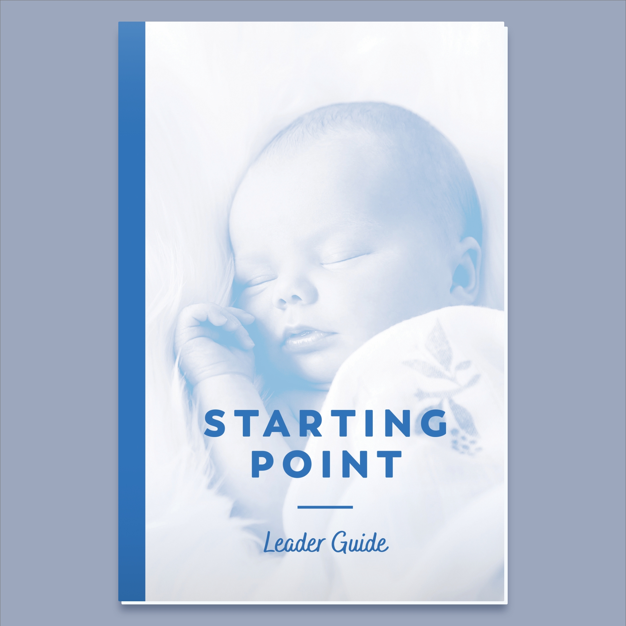 Buy Starting Point Leader Guide | Dynamic Catholic