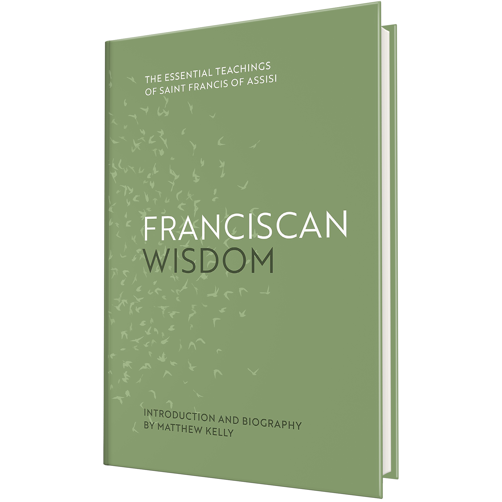 Buy Franciscan Wisdom | Dynamic Catholic